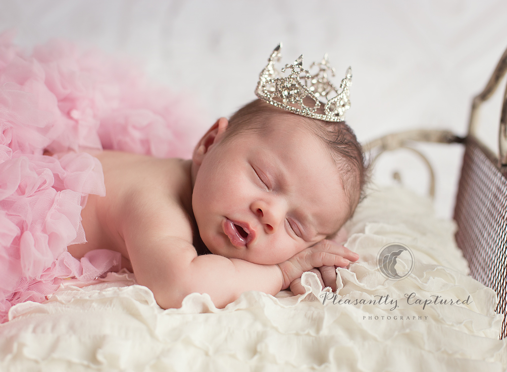 Beautiful newborn girl makes 4 | North Carolina Newborn Photographer